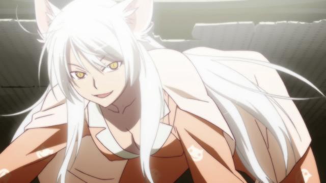 Bakemonogatari - 1 Épisode 14 : Tsubasa Cat, partie quatre - streaming - VF et VOSTFR - ADN