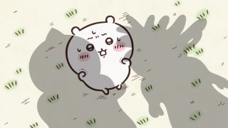 Chiikawa - Anime en streaming GRATUIT, VOSTFR, HD