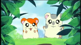 Hamtaro - 1 Épisode 1 : La Nouvelle Maison - streaming - VF - ADN