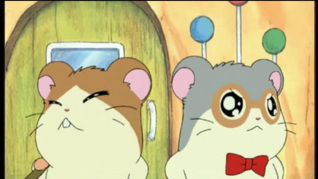 Hamtaro - 1 Épisode 2 : Le Club des Ham-Hams - streaming - VF - ADN