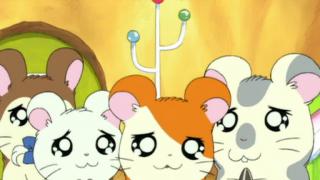 Hamtaro - Anime en streaming GRATUIT, VOSTFR, HD