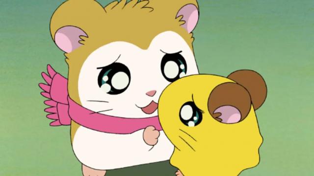 Hamtaro - 2 Épisode 34 : Pénélope a disparu - streaming - VF - ADN