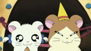 Hamtaro - Anime en streaming GRATUIT, VOSTFR, HD