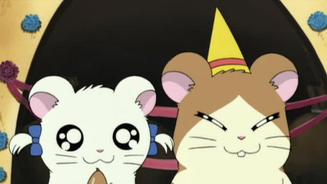 Hamtaro - 2 Épisode 36 : Adieu, Bijou - streaming - VF - ADN