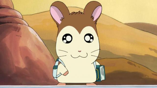 Hamtaro - 2 Épisode 41 : Le musée hanté - streaming - VF - ADN