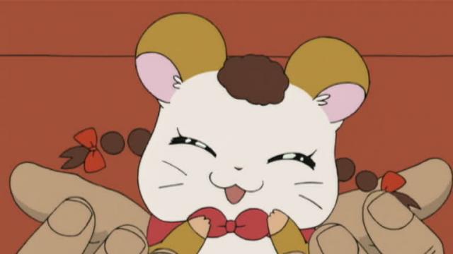 Hamtaro - 2 Épisode 42 : Bienvenue, Paprika ! - streaming - VF - ADN