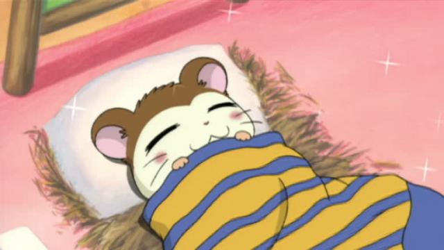 Hamtaro - 2 Épisode 48 : Le Club en danger ! - streaming - VF - ADN