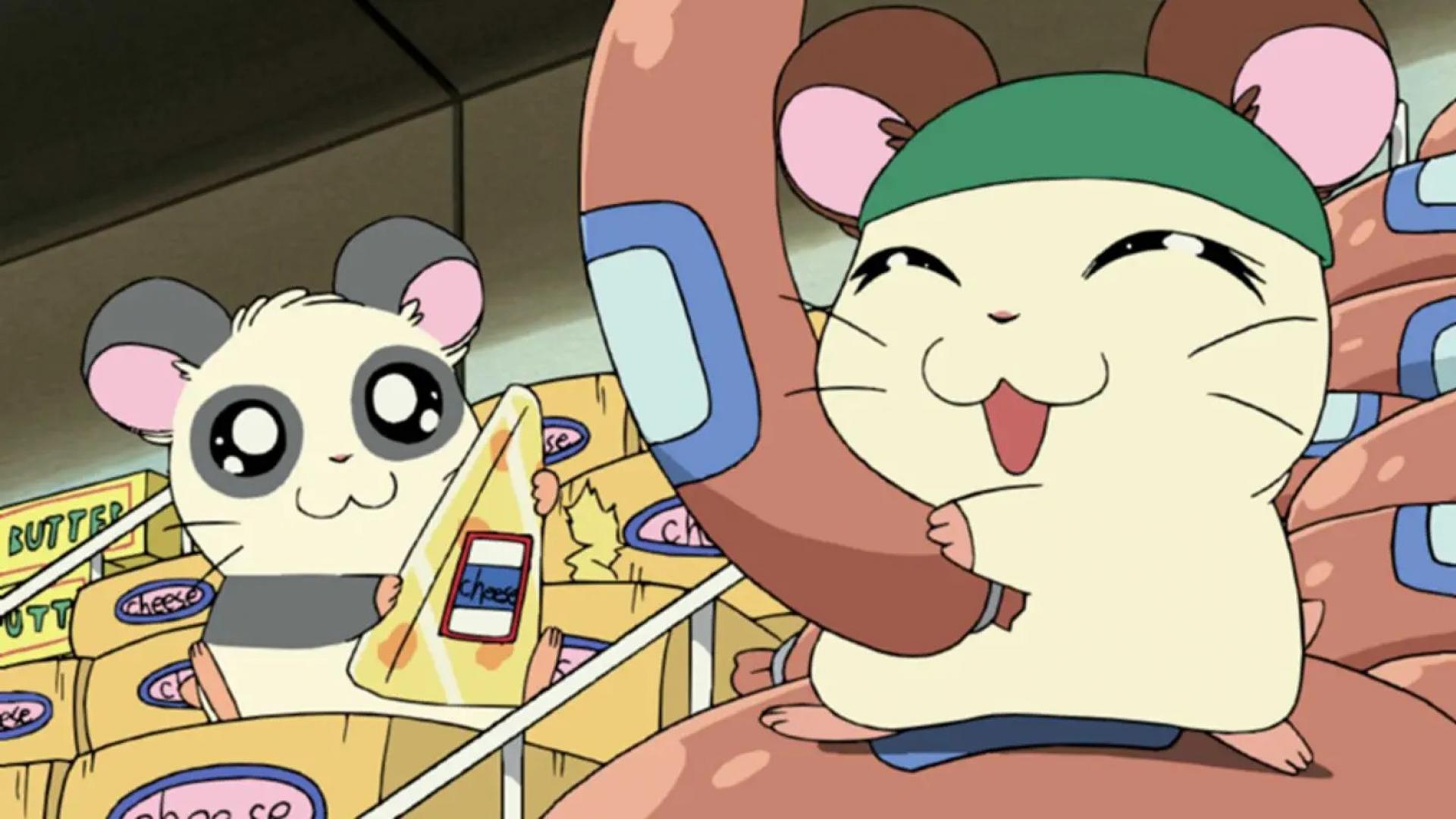 Hamtaro - 2 Épisode 49 : Le médaillon perdu - streaming - VF - ADN