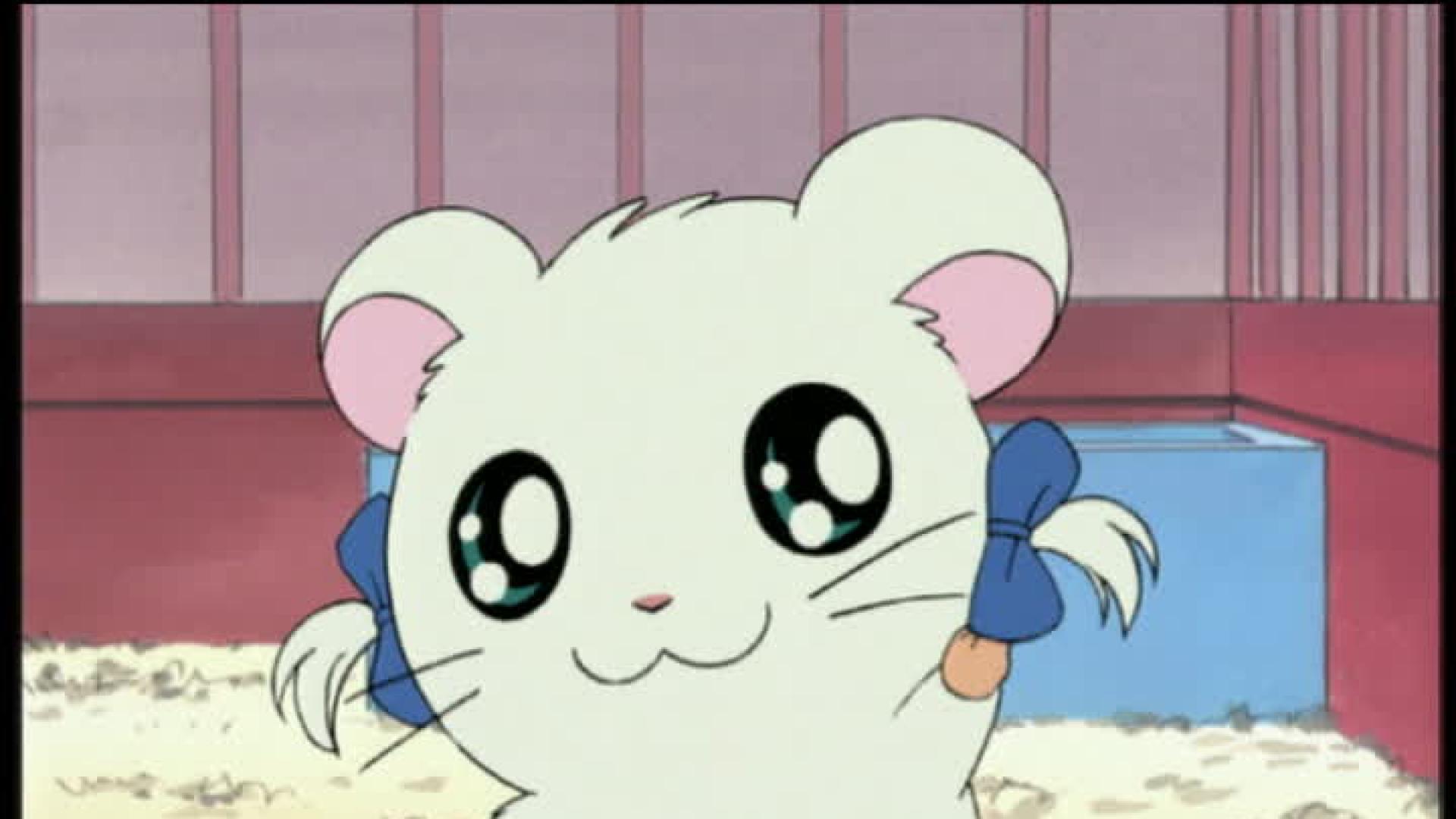Hamtaro - 1 Épisode 4 : Bijou, descends ! - streaming - VF - ADN