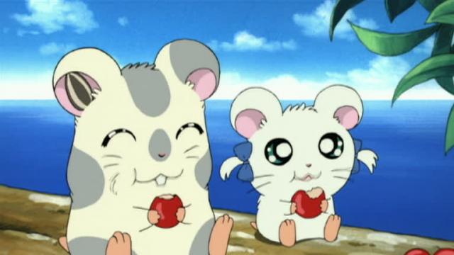 Hamtaro - 2 Épisode 50 : La Croisière des Ham-Hams - streaming - VF - ADN